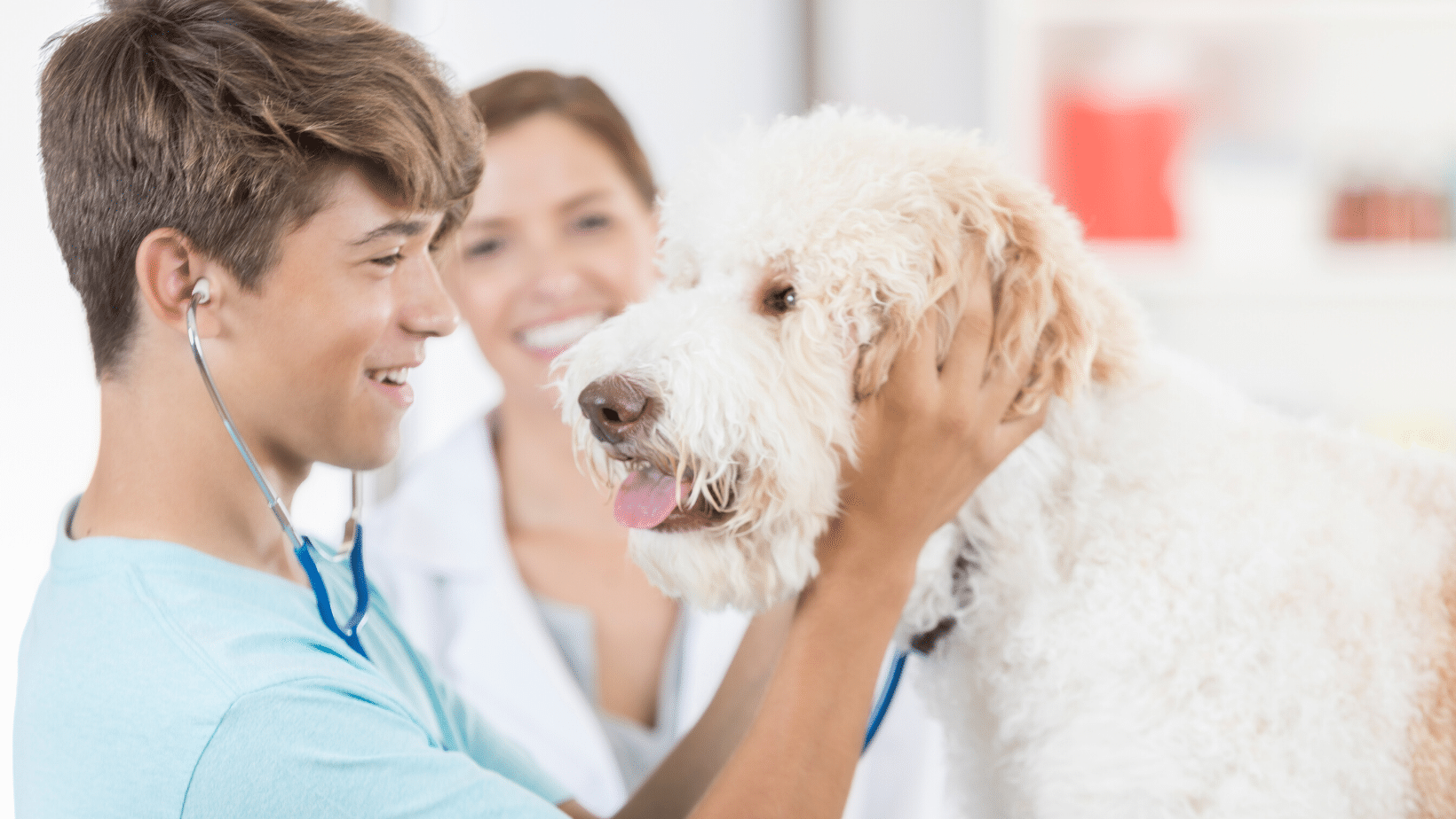 Charlot et Thomas: L’assurance d’une vie en santé - Dre Lucie Hénault